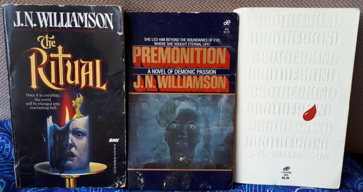 J.N. Williamson’s Martin Ruben Series: The Ritual, Premonition and ...